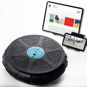 GoBalance Official Website - Premium Balance Boards